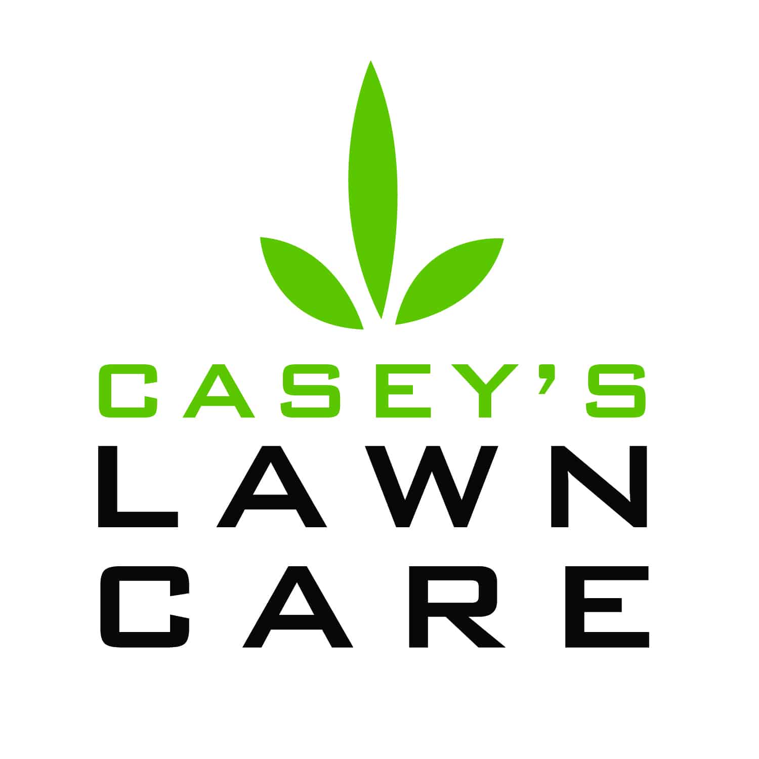 About Casey's Lawn Care